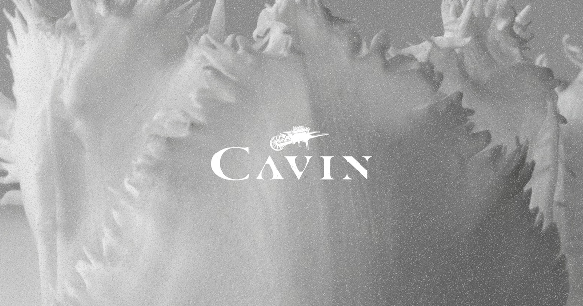 花の魅力を最大限に引き出す、UIデザイナーを募集！ - CAVIN Inc.のUI/UXデザイナーの採用 - Wantedly