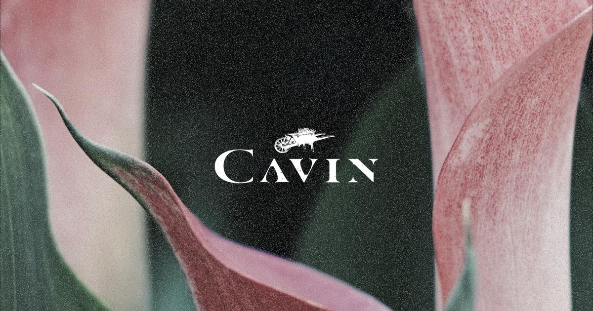 急拡大中！花のスタートアップの事業開発責任者を募集 - CAVIN Inc.の事業開発の採用 - Wantedly