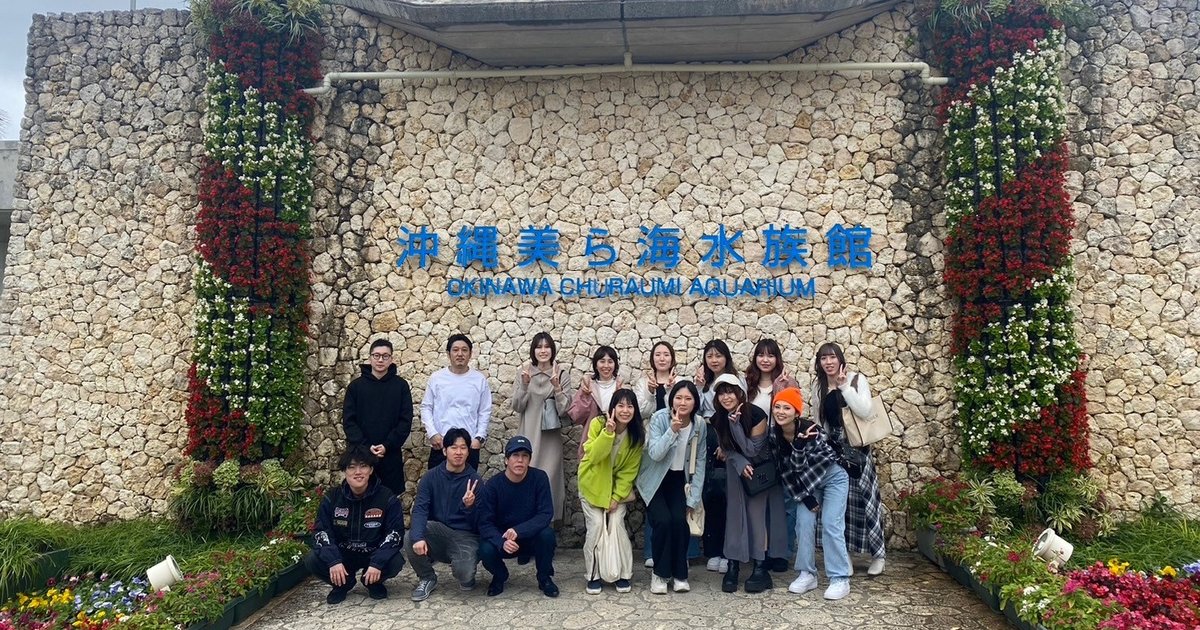 ペット系D2C｜WEB広告運用からマーケティング上流まで - 株式会社バウムクーヘンのWebマーケティングの採用 - Wantedly