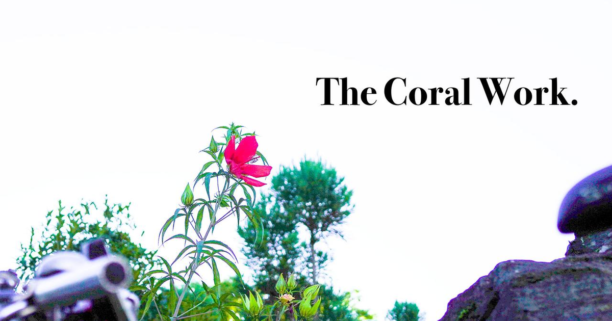 私たちの新しい働き方、Coral Work。 | 株式会社Dai