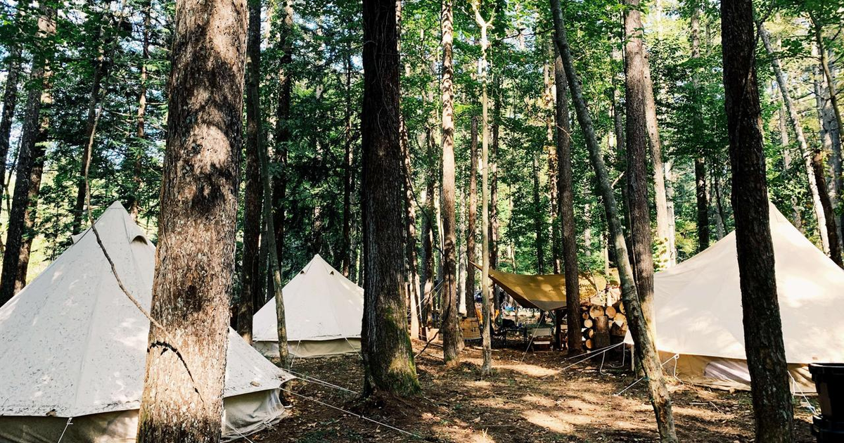 【ExCAMP夏合宿 in 山梨】仕事×キャンプを通して 「体感時間の最大化」 | forent株式会社