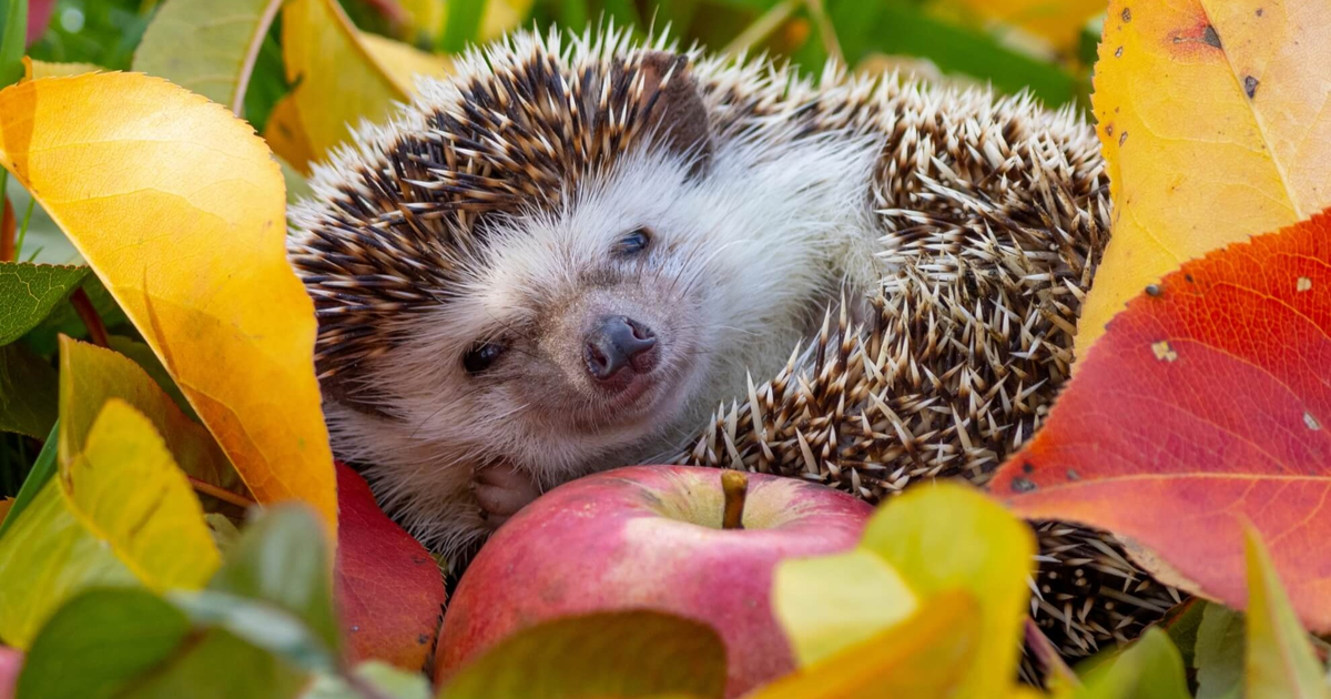 PM、PL経験者大歓迎！お話からでもご応募ください！ - 株式会社TYLのエンジニアリングの採用 - Wantedly