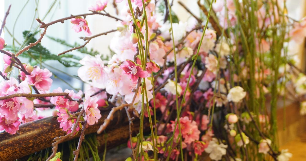 グローバルブランド創出を目指すベンチャー！自社商品のグラフィックデザイン！ - 株式会社AINEXTのグラフィックデザイナーの採用 - Wantedly