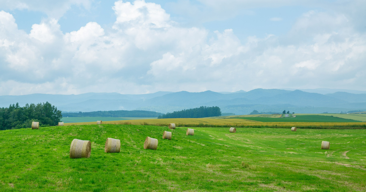 スイングバイでIPOを実現！インパクトスタートアップにて経理財務職募集！！ - 株式会社HiOLIの経理・財務の採用 - Wantedly