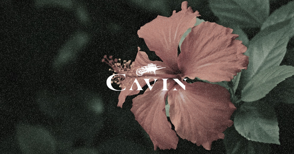 ヒアリングと提案力を武器に、MD"マーチャンダイザー"になりませんか？ - CAVIN Inc.の法人営業の採用 - Wantedly