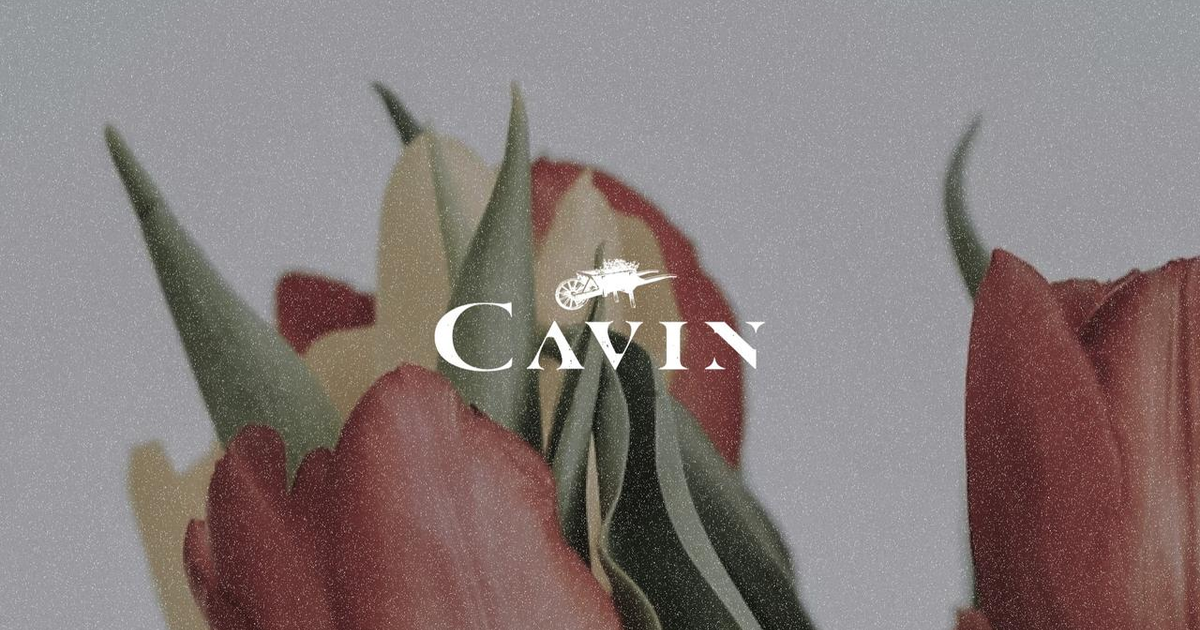 花×IT、新しい領域に挑戦したいWebマーケター募集！ - CAVIN Inc.のWebマーケティングの採用 - Wantedly