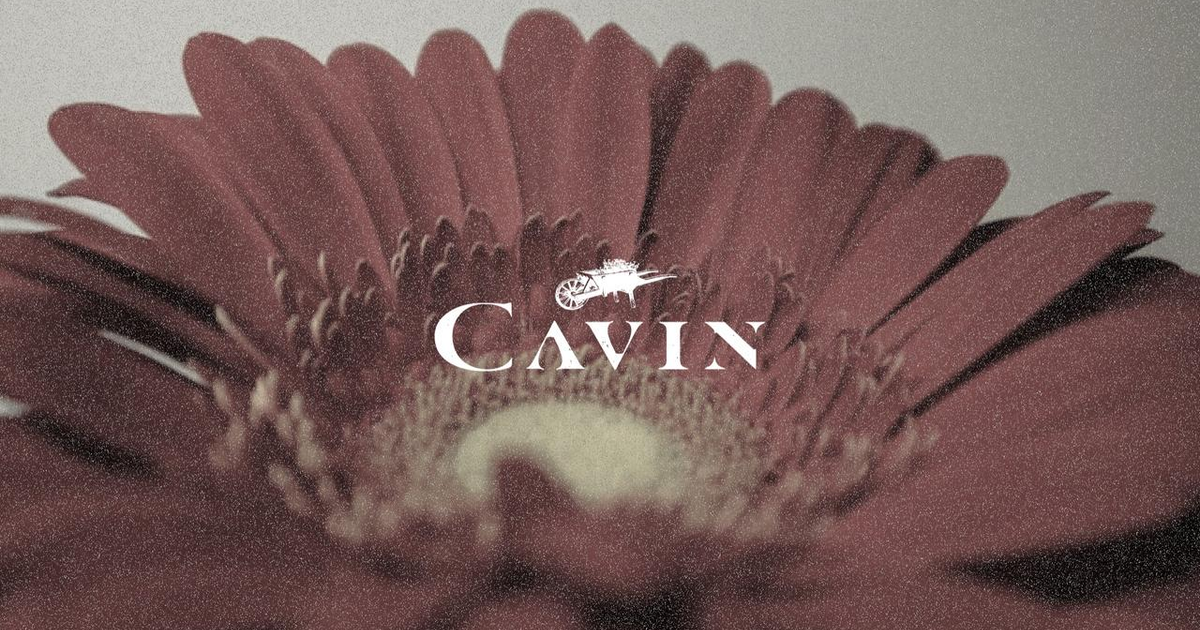 花×ITという新しいフィールドであなたの営業力を試しませんか？ - CAVIN Inc.の法人営業の採用 - Wantedly