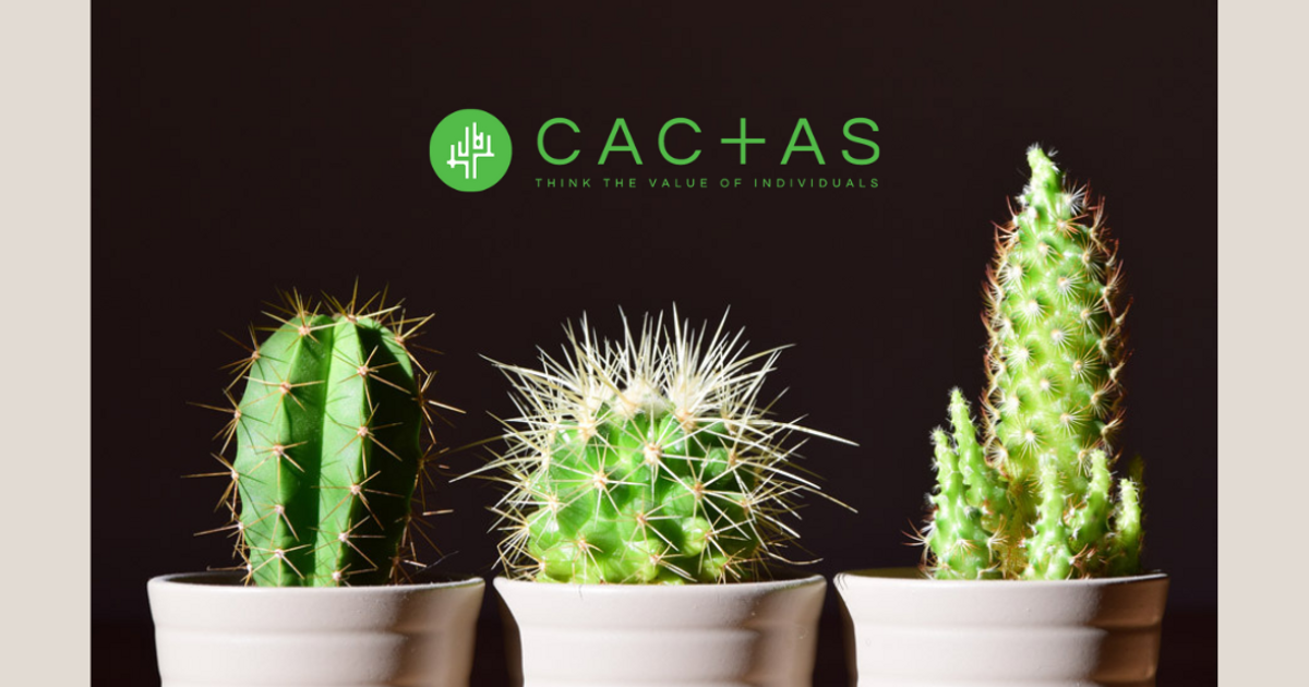 事業絶賛拡大中！動画・映像業界に営業職としてチャレンジできます！ - 株式会社CACTASの法人営業の採用 - Wantedly