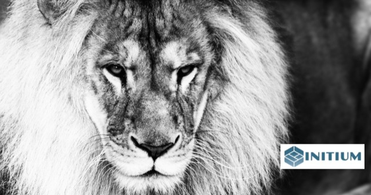 CEO直下で起業・独立も目指せる！野心溢れるマーケターをWanted！ - 株式会社INITIUMのWebマーケティングの採用 - Wantedly