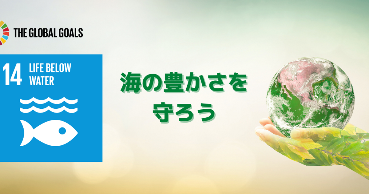 日本でも年間2~6万トンの流出！【SDGs目標14】海の豊かさを守ろう | SDGsってなんだろう？