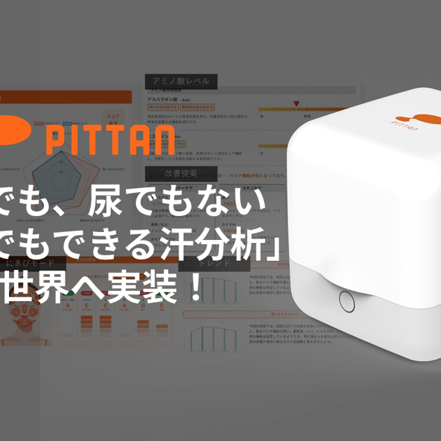 About 株式会社PITTAN - Wantedly