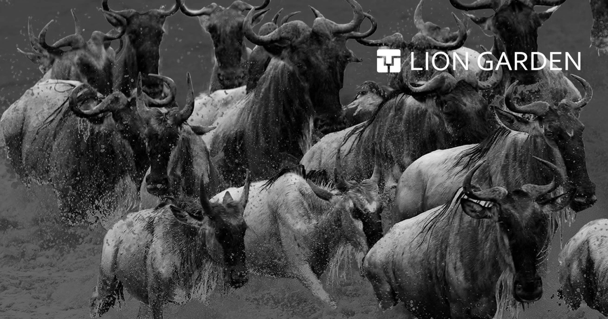 新規サービス開発をサポートするPMOスタッフ募集 - 株式会社LionGardenのPM・Webディレクションの採用 - Wantedly