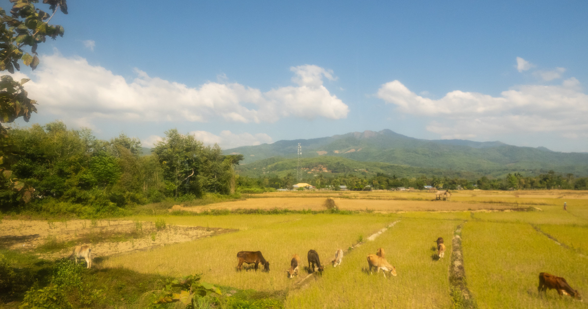 在庫管理SaaSを開発で支えるRuby・Railsエンジニア募集！ - 株式会社ZAICOのWebエンジニアの採用 - Wantedly