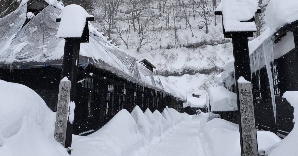 宿泊業界で採用コストを1/3に削減した革新的なサービスのCMO候補募集！！ - 株式会社HaginoのWebマーケティングの採用 - Wantedly