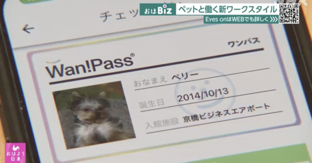 NHK「おはよう日本」でWan!Passの取り組みが放送されました。 | ペッツオーライ株式会社