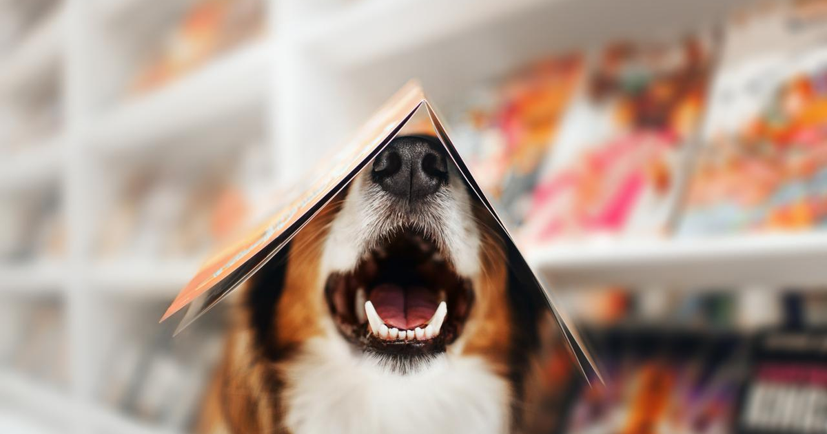 オープンポジション：動物病院向け経営支援の企画営業に挑戦してみませんか？ - 株式会社TYLの法人営業の採用 - Wantedly