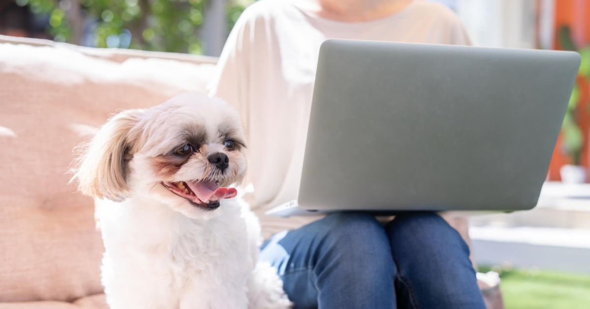 デジタル広告戦略で事業の成長をリード！運用スペシャリスト大募集！ - 株式会社TYLのWebマーケティングの採用 - Wantedly