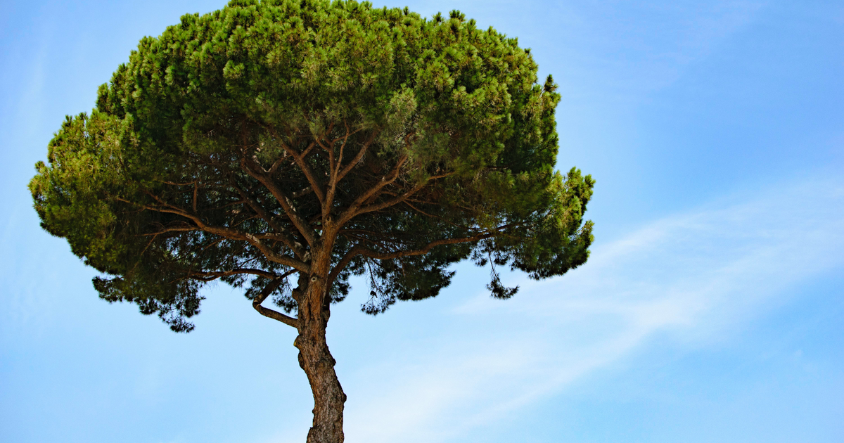 データサイエンティストとして成長する3つの要素とは | 株式会社クラウンデータ