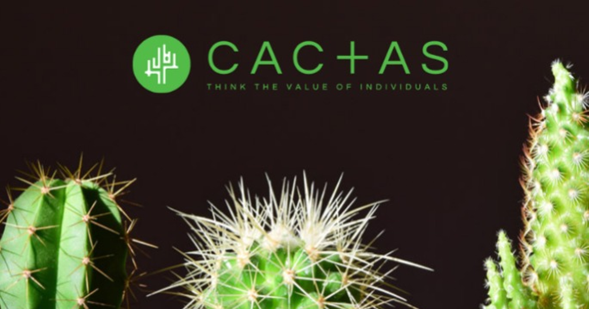 クライアントとの関係を築き、アイデアと戦略を生み出すアカウントプランナー！ - 株式会社CACTASの法人営業の採用 - Wantedly