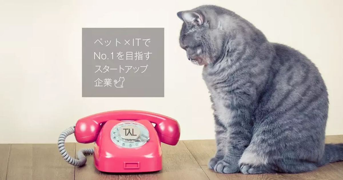 Webマーケ担当者募集！市場価値を高めたい方誰でもWanted! - 株式会社TYLのWebマーケティングの採用 - Wantedly