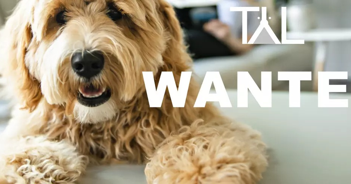 急成長中の会社をさらに加速させるメンバーを一緒に探しませんか？ - 株式会社TYLの人事の採用 - Wantedly