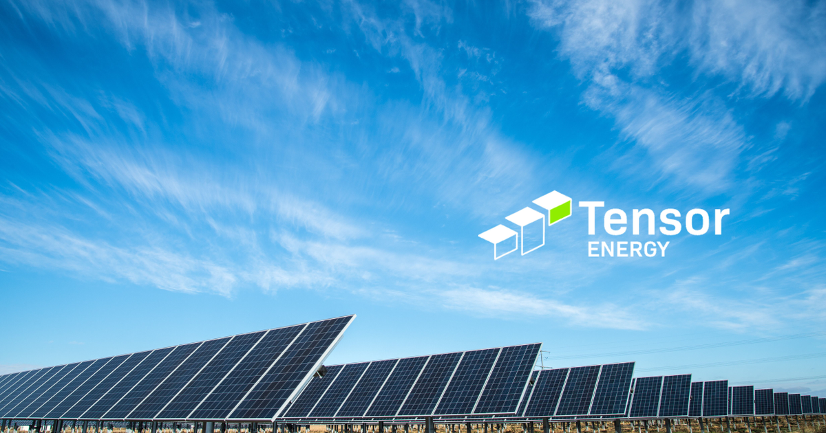 電力のGXとDXに挑むシードスタートアップのCTO候補を募集します！ - Tensor Energy株式会社のシステムエンジニアの採用 - Wantedly