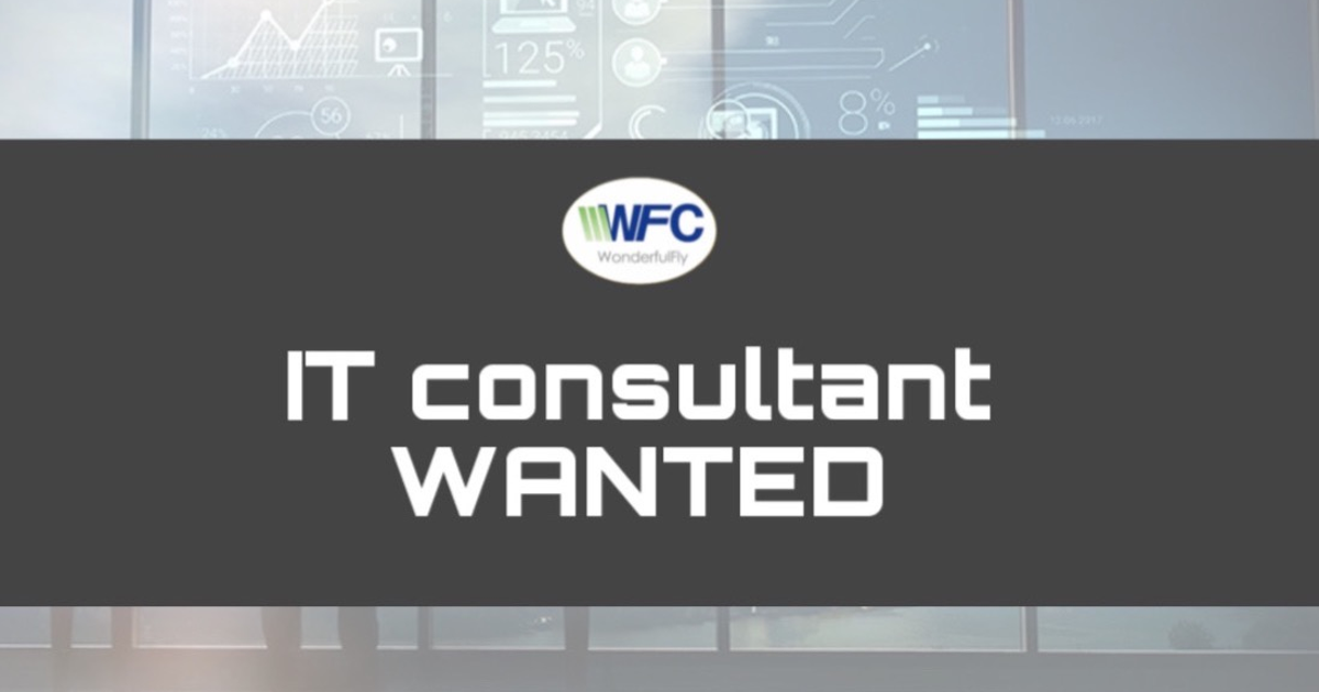 DX化を手助けしてクライアントの課題を解決するITコンサルタント募集中！ - ワンダフルフライ株式会社の法人営業の採用 - Wantedly