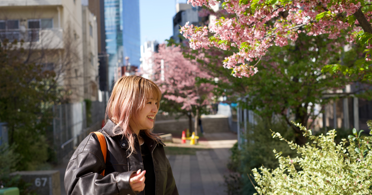 経験ゼロから、PythonのIT人材にチャレンジしたい方 大募集！ - 株式会社Ansel TechnologiesのWebエンジニアの採用 - Wantedly