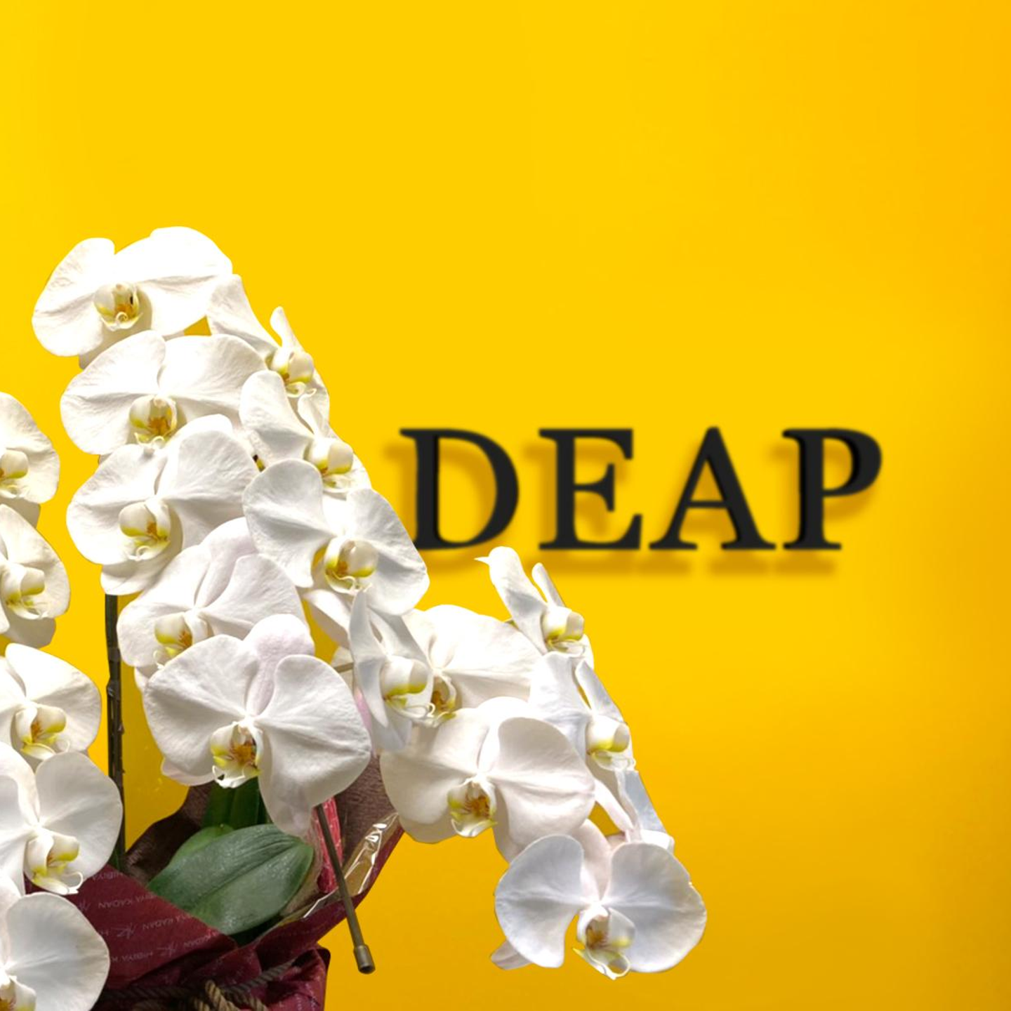 株式会社DEAPの会社情報 - Wantedly