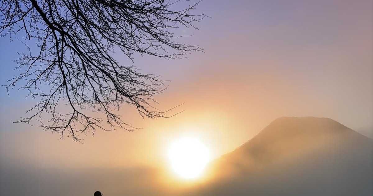 SNPITユーザー体験インタビューVol.2 “写真で広がる未来:切り拓く新たな可能性～100年後の世界を見据えて～” | 株式会社GALLUSYS