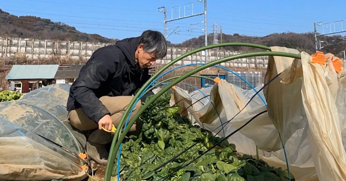 地方、農業、田舎を自分の力で盛り上げたい人。お話しお聞かせください。 - 合同会社REPOCのWebエンジニアの採用 - Wantedly