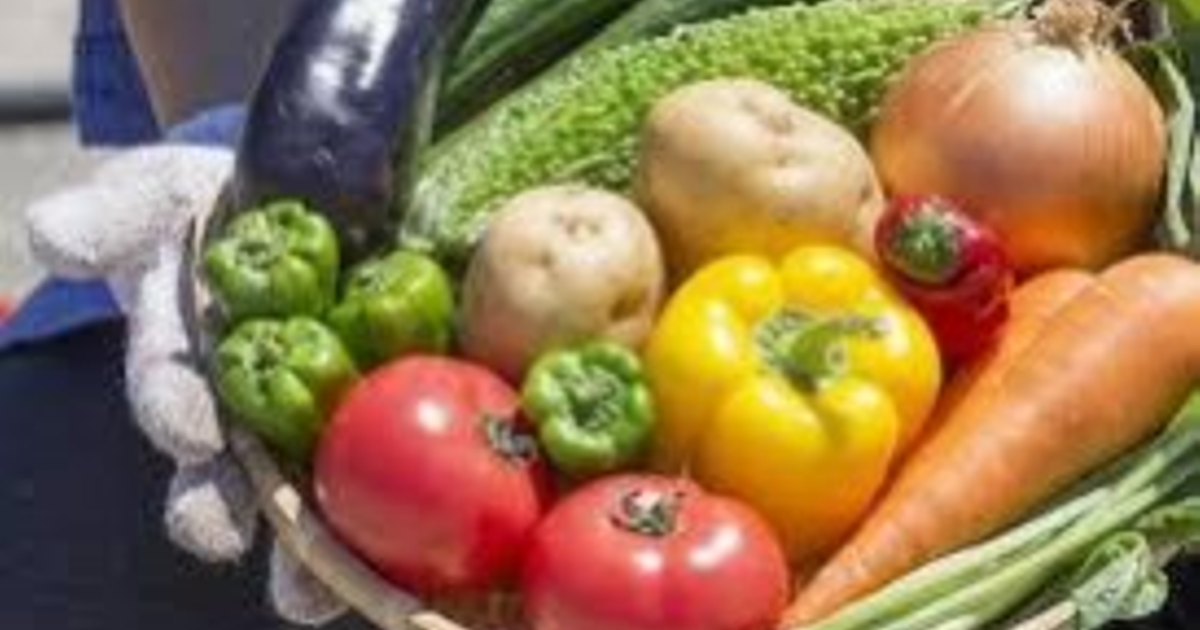 スタートアップの最前線で経営全体を動かす｜CxO直下の右腕ポジション募集 - 株式会社Kamanova の経営企画の採用 - Wantedly