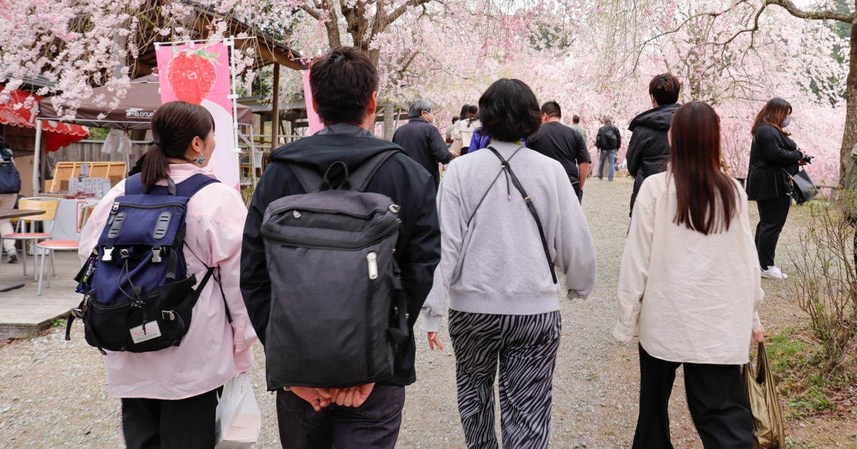 PHPエンジニアとして新たなキャリアを築く！スキルアップ支援充実！ - 株式会社クリエのWebエンジニアの採用 - Wantedly