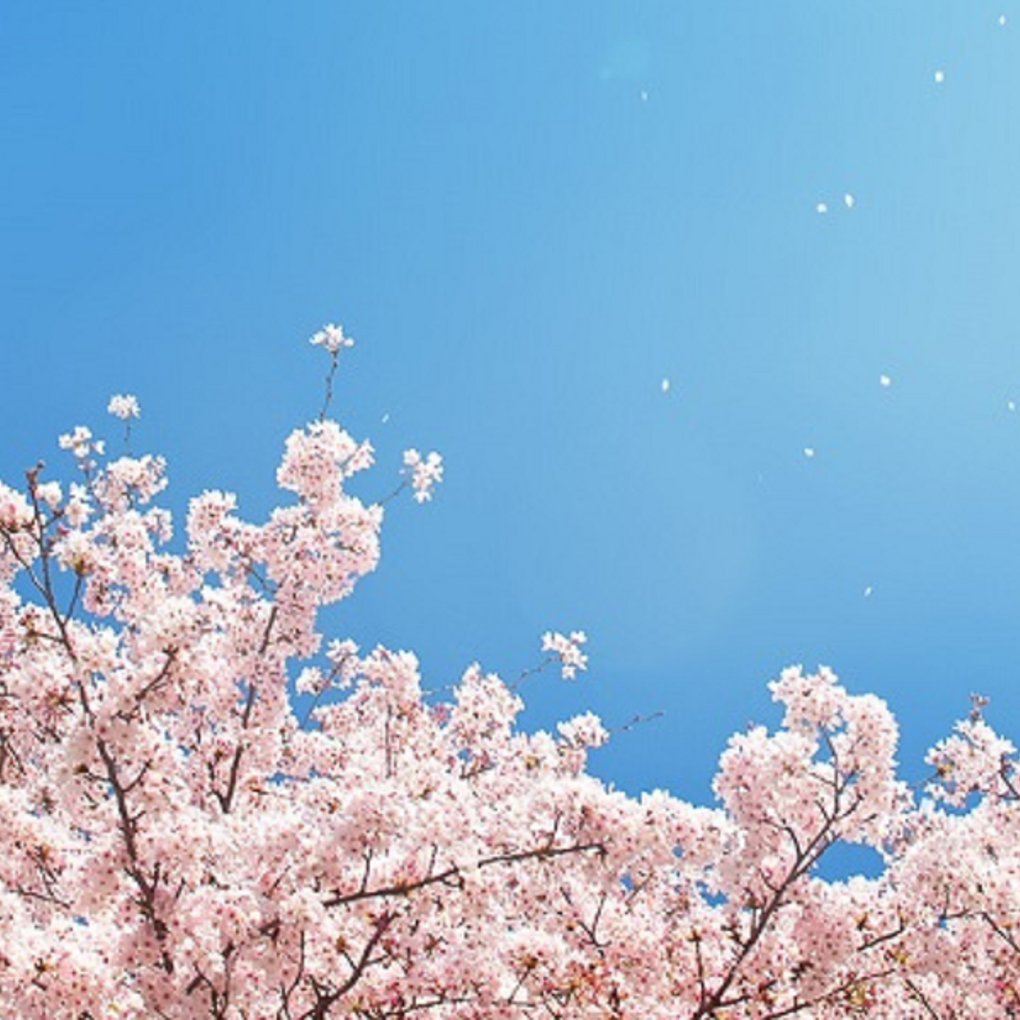 Filanza株式会社の会社情報 - Wantedly