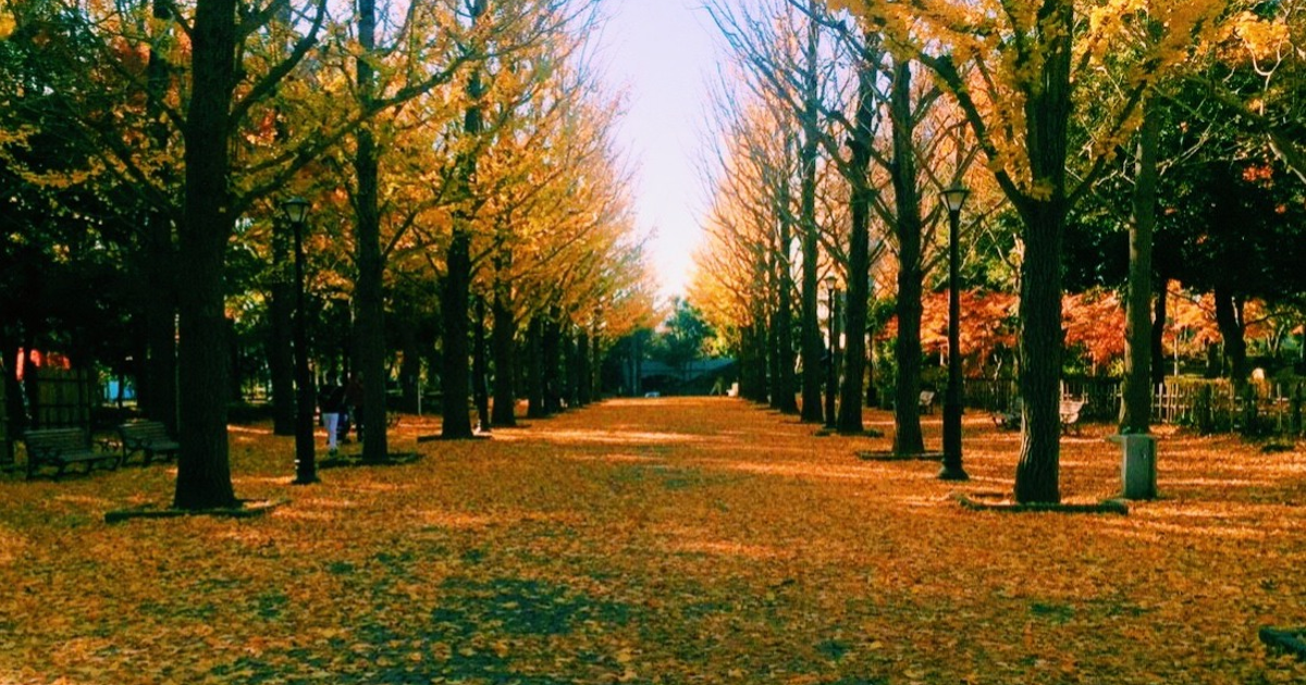 実務経験不要！初心者からエンジニアデビューを目指すポジション募集！ - 株式会社ENGEIのWebエンジニアの採用 - Wantedly