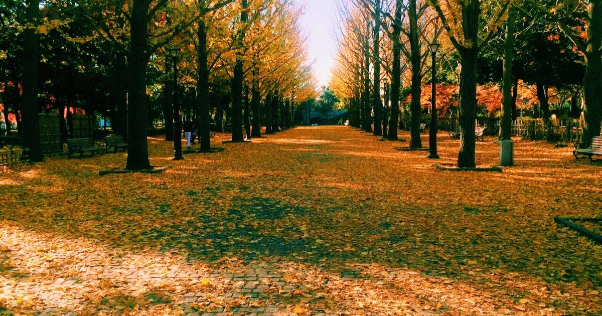 Laravel,phpを学んで開発案件に挑戦しよう！ENGEIで待ってます - 株式会社ENGEIのWebエンジニアの採用 - Wantedly