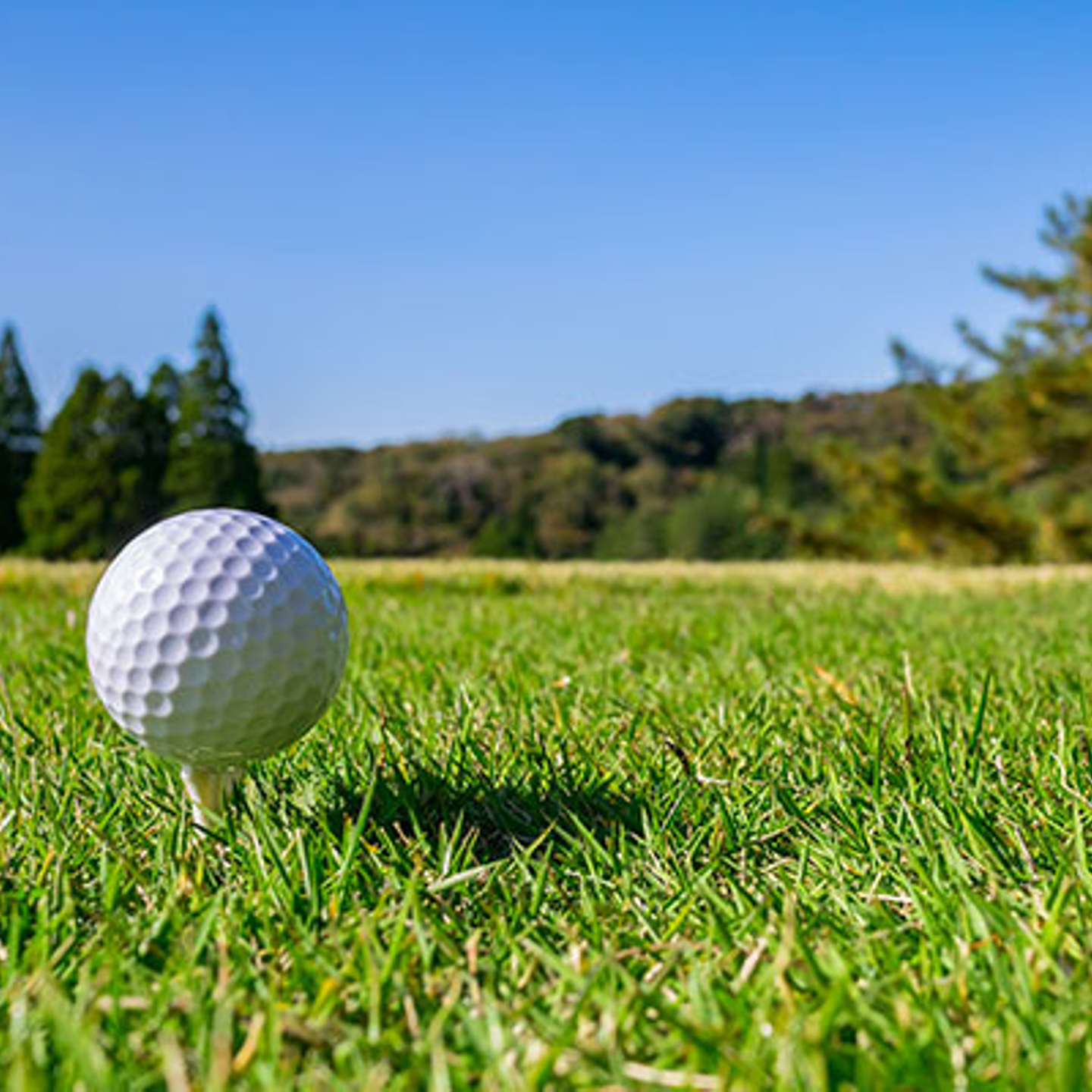 eg株式会社の会社情報 - Wantedly