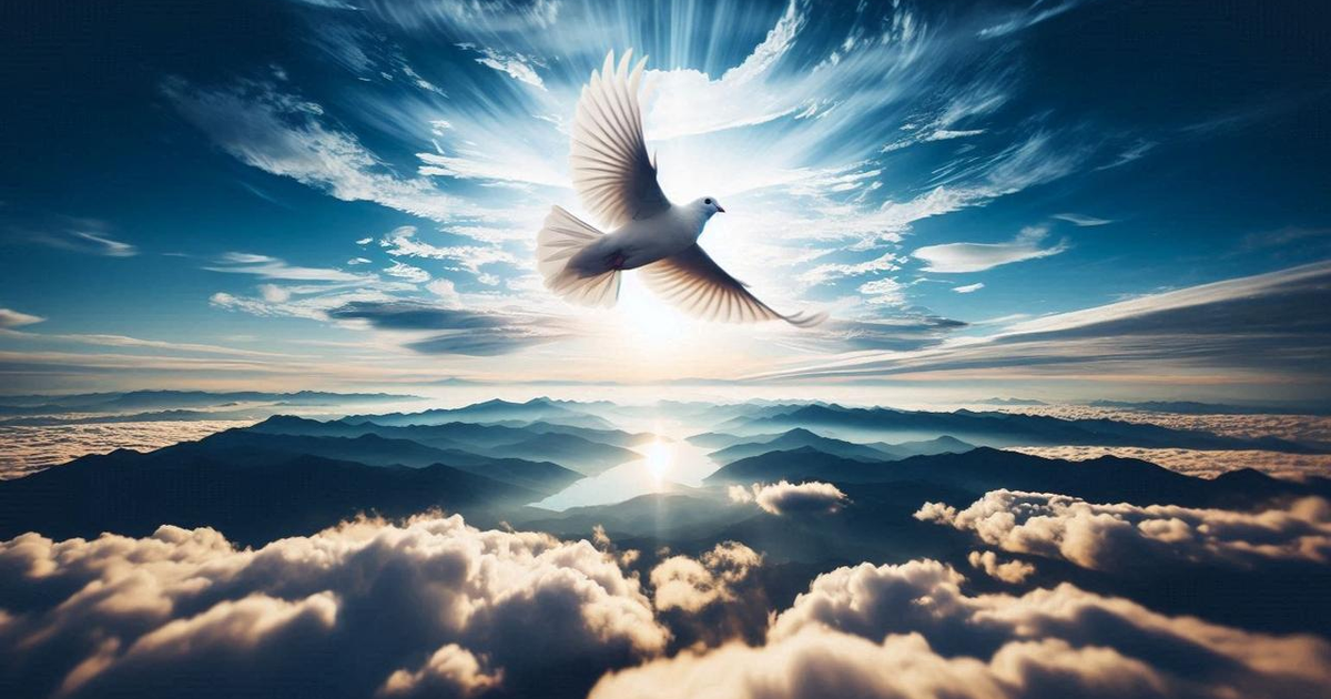 自分で働き方を決められる！Javaエンジニア！ - 灯火ソリューションズ株式会社のシステムエンジニアの採用 - Wantedly