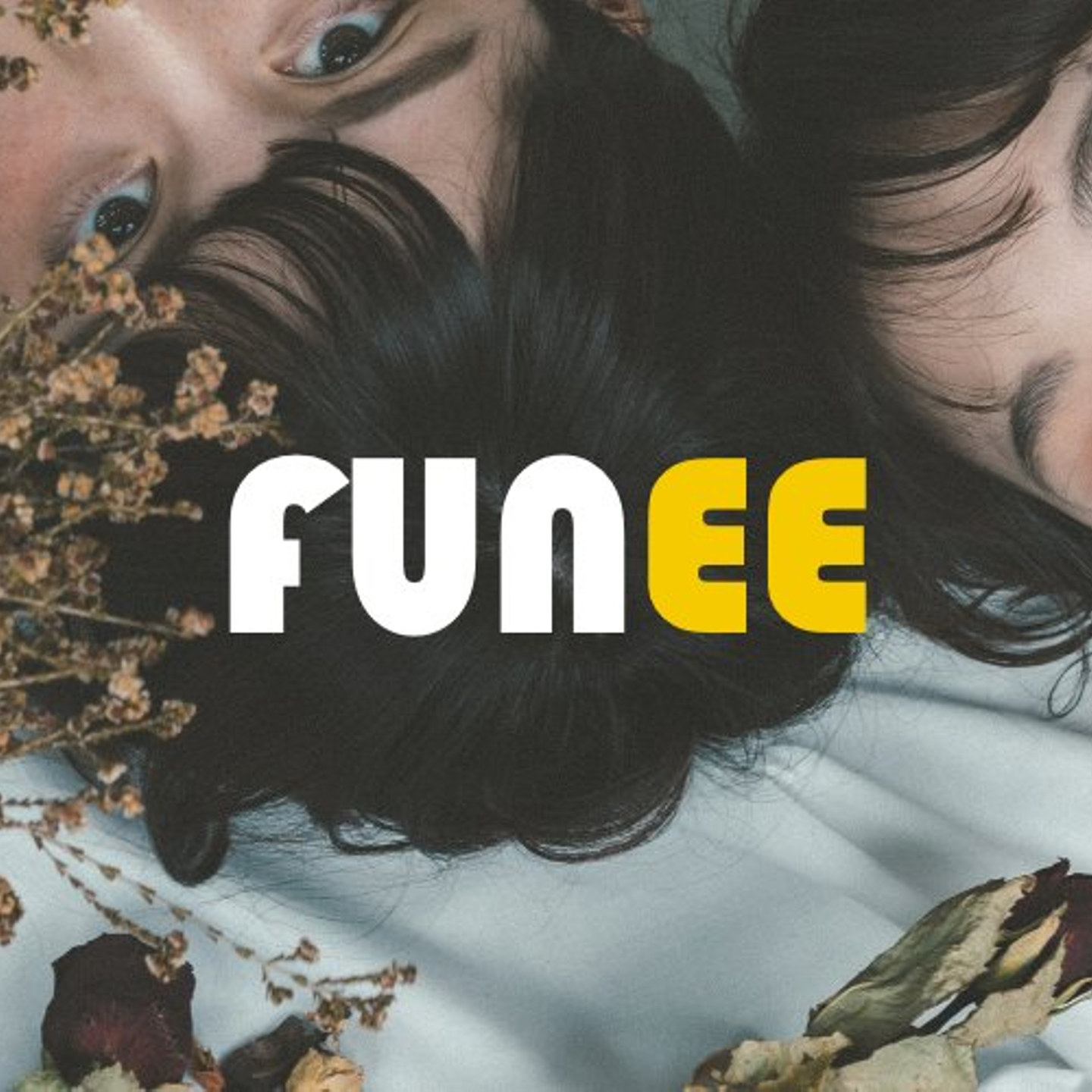 株式会社FUNEEの事業とカルチャー - Wantedly