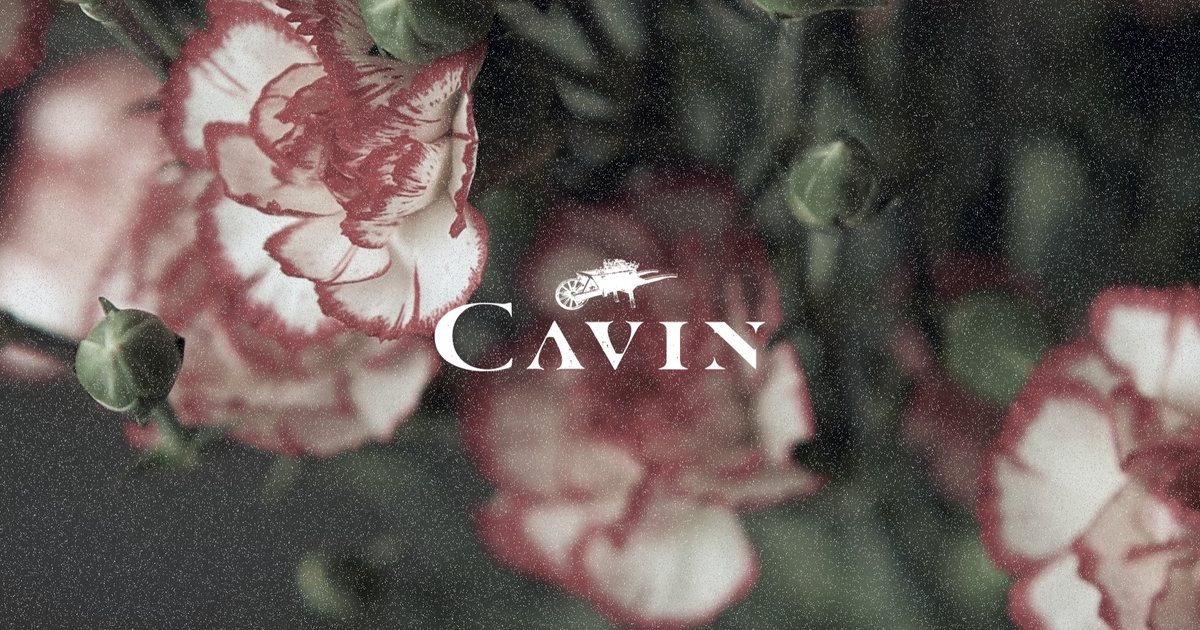 急成長中のスタートアップで花の流通を支えるオペレーションスタッフを募集！ - CAVIN Inc.のその他の採用 - Wantedly