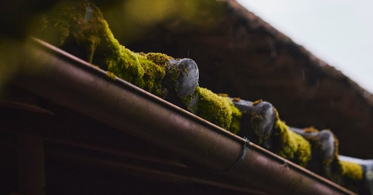 ちょっとまって｜Cominkaはリフォームの会社ではなくデジマケの会社です - 株式会社Cominkaの法人営業の採用 - Wantedly