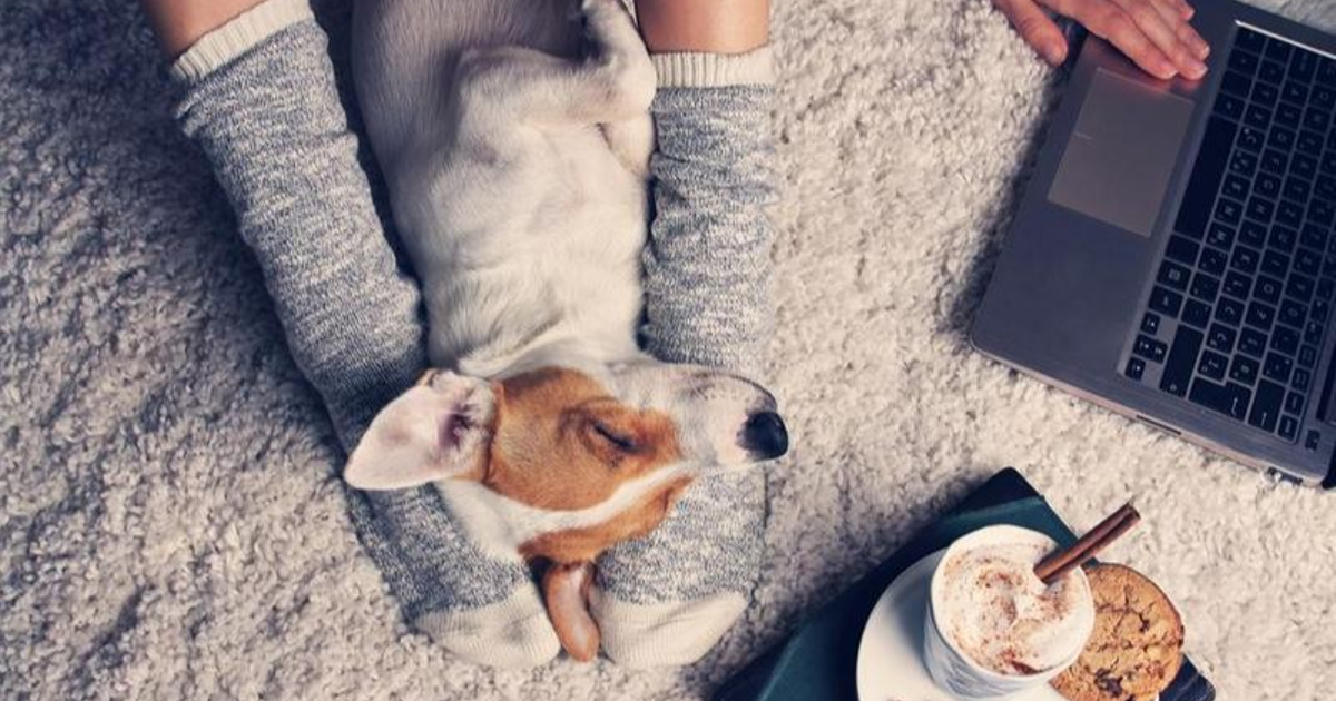 デザイン力で会社を加速させるWebデザイナー募集！ - 株式会社TYLのデザイン・アートの採用 - Wantedly