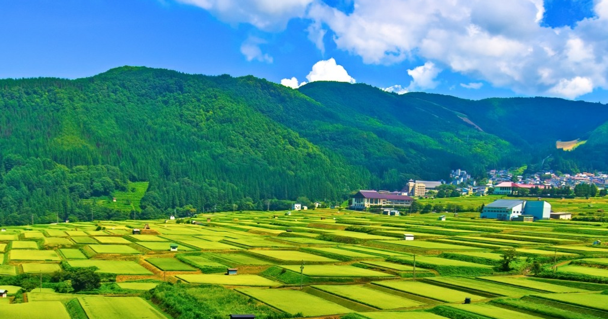 PHP開発｜地方で開発したい方も募集！あなたの生活を第一に考えている会社 - H＆M Software株式会社のWebエンジニアの採用 - Wantedly