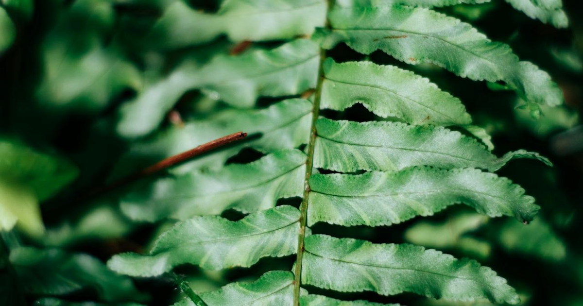 BigQuery × GitHubで始める行動量の可視化【AI導入後の変化をラフに捉えるために】 | Wantedly Engineer Blog