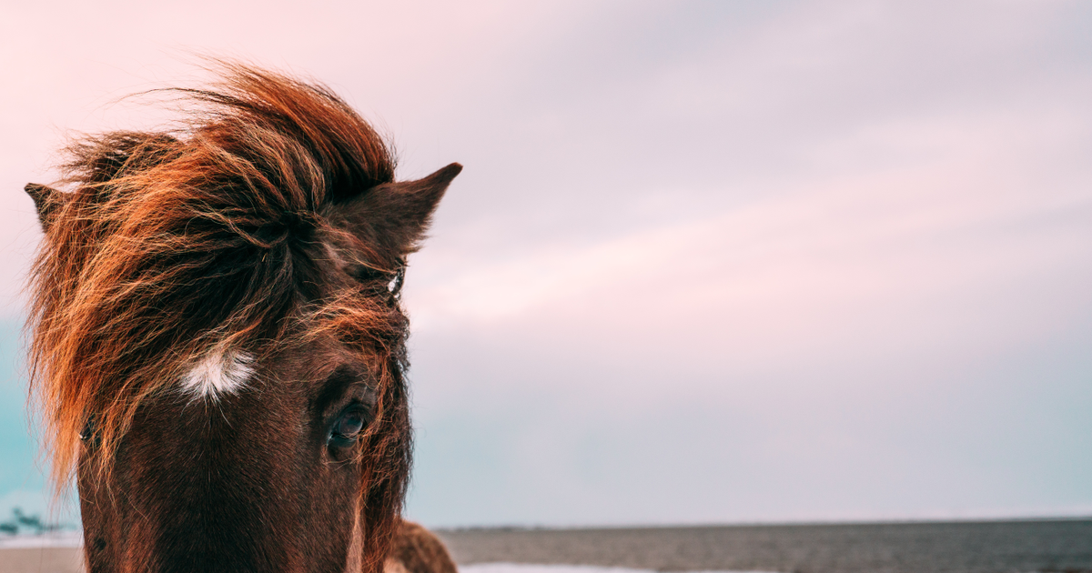 5年間開発しているRailsプロジェクトにReact + Reduxを導入した話 | Wantedly Engineer Blog