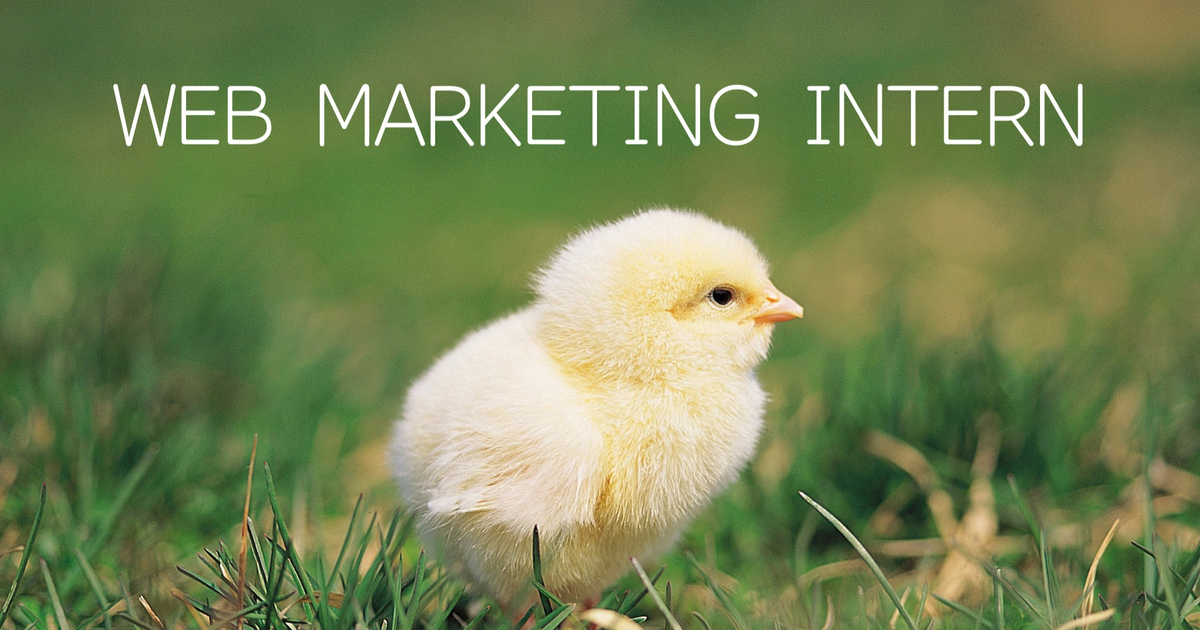 初心者歓迎｜学生が事業を動かす｜Webマーケティングが学べる長期インターン - ZEROUM株式会社のWebマーケティングの採用 - Wantedly