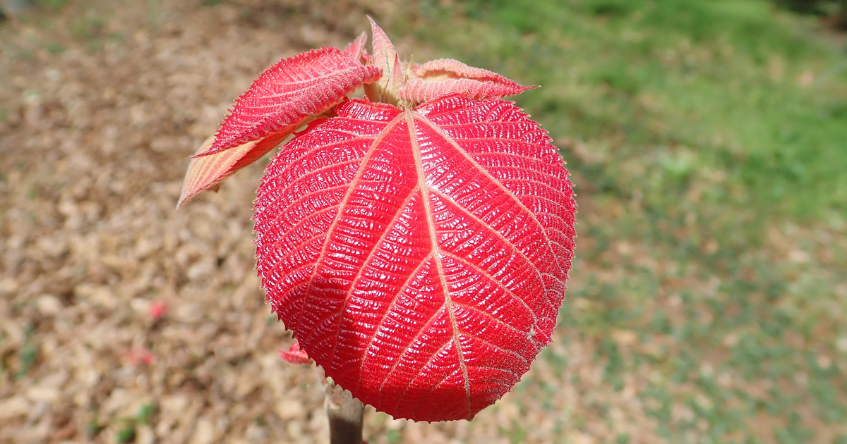 Java／AWSを経験できる金融システム開発エンジニア募集中！ - トリオシステムズ株式会社のシステムエンジニアの採用 - Wantedly