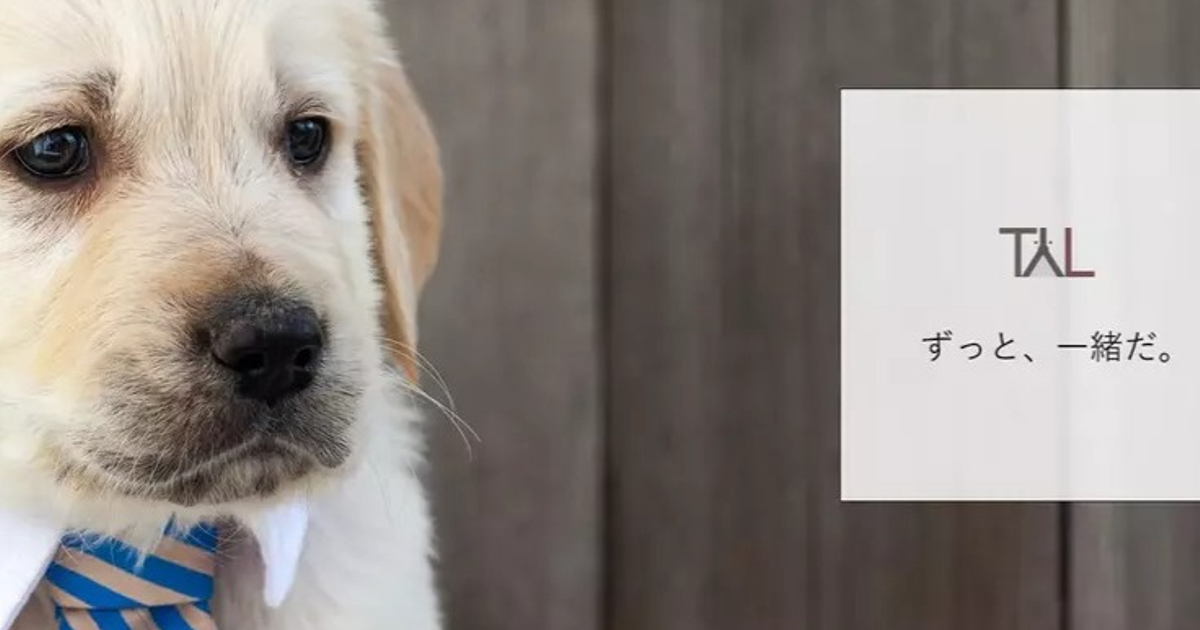 本質的な視点とスキルを身に着ける、フルスタックエンジニア大募集！ - 株式会社TYLのWebエンジニアの採用 - Wantedly