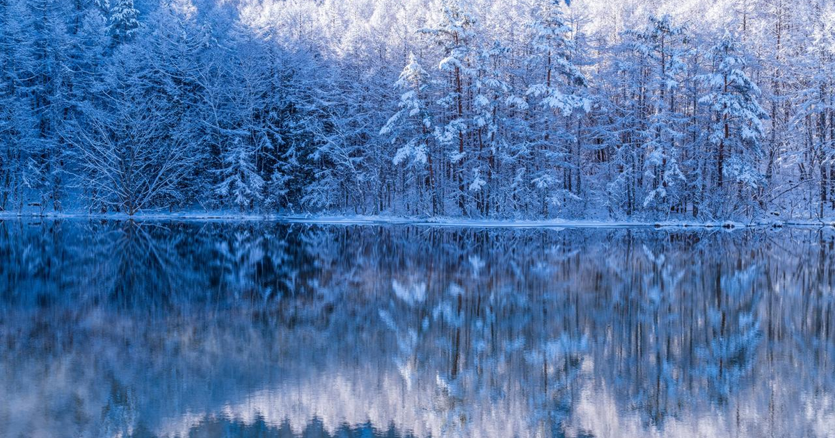 カメラマン｜出張撮影｜日本文化を味わえる感動体験を写真を通して世界へ発信 - J-CAT株式会社のフォトグラファーの採用 - Wantedly