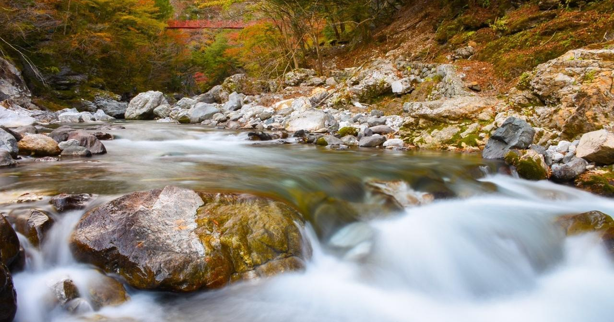 高知勤務！複数のベンチャー企業の採用支援を担っていただける方を募集します！ - 株式会社NewRecordの人事の採用 - Wantedly